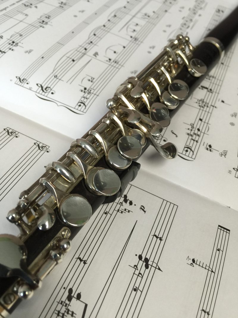 3 Basics of Beautiful Piccolo Playing by Dr. Therese Wacker – The Flute ...