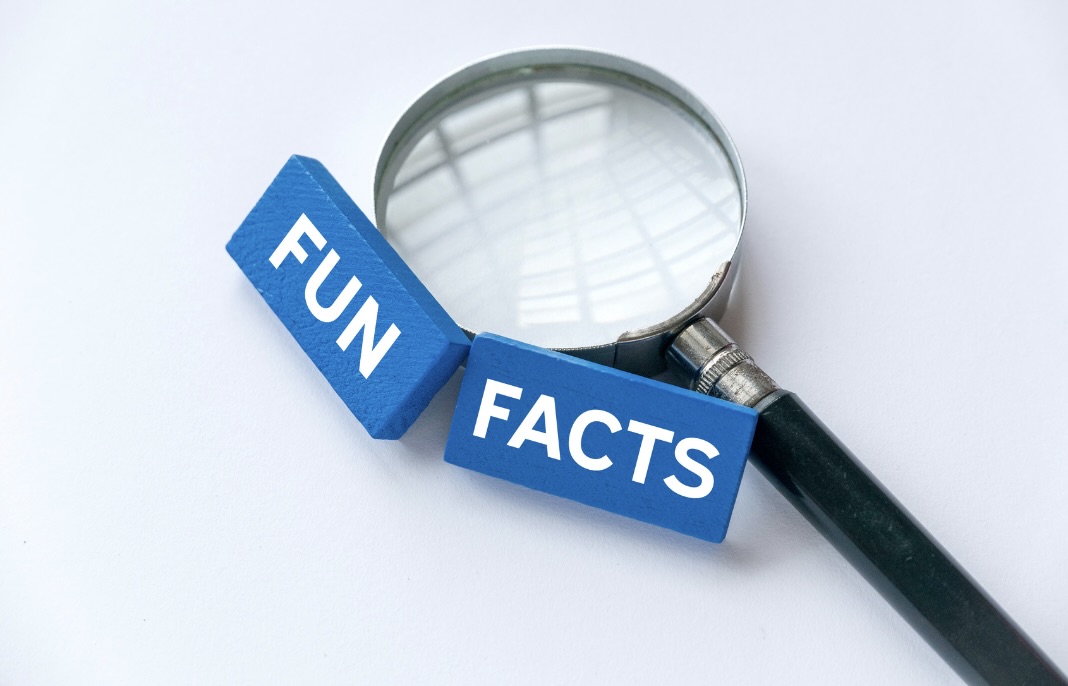 Fun Facts About Your Clavicles – The Flute Examiner